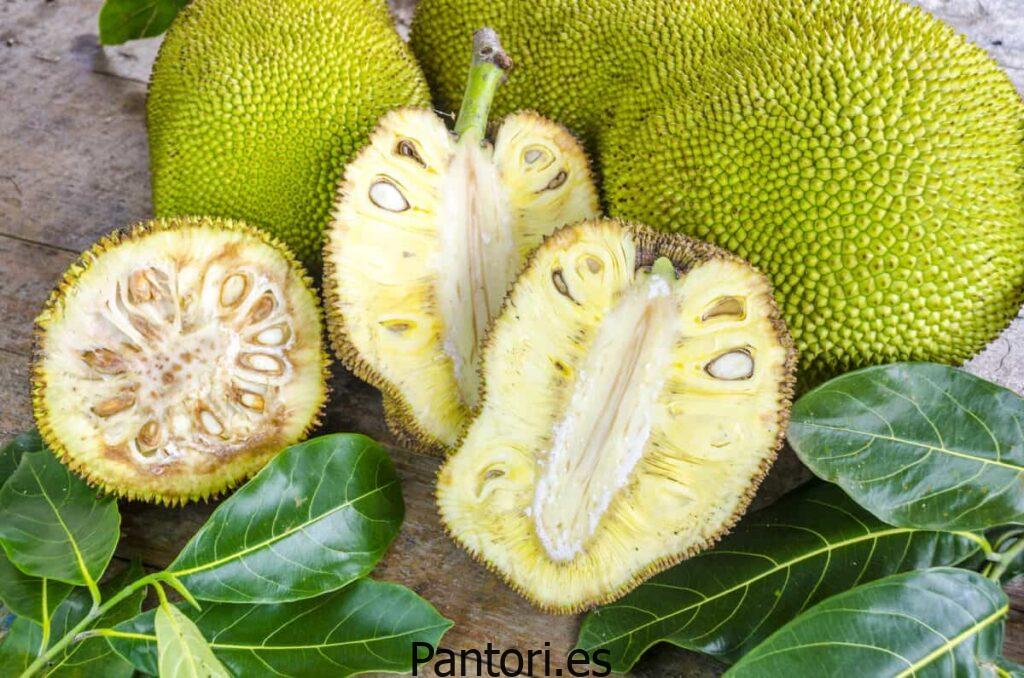 [Diferencias] Yaca vs Durian - Pantori