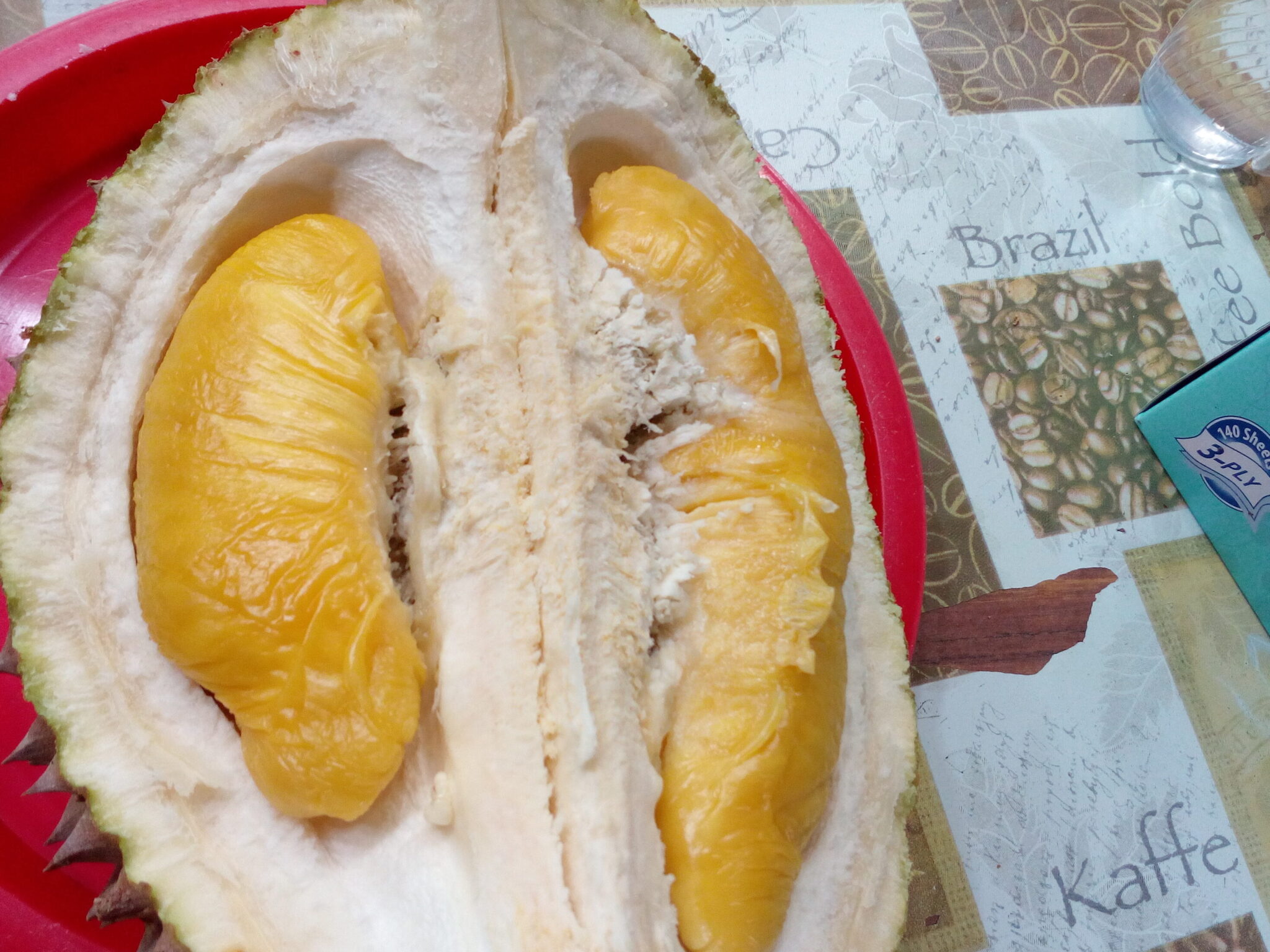 Guanábana vs Durian: ¿Cuál es la fruta más exótica y deliciosa? - Pantori