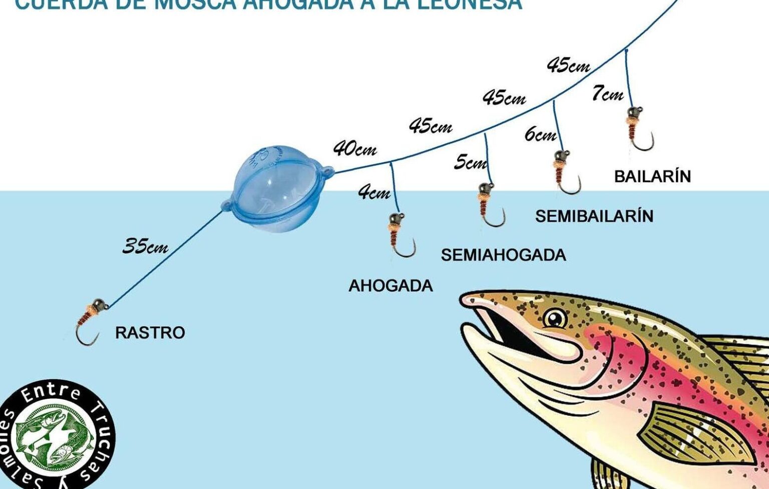 Diferencias entre trucha y salmón: ¿Sabes cómo distinguirlos? - Pantori