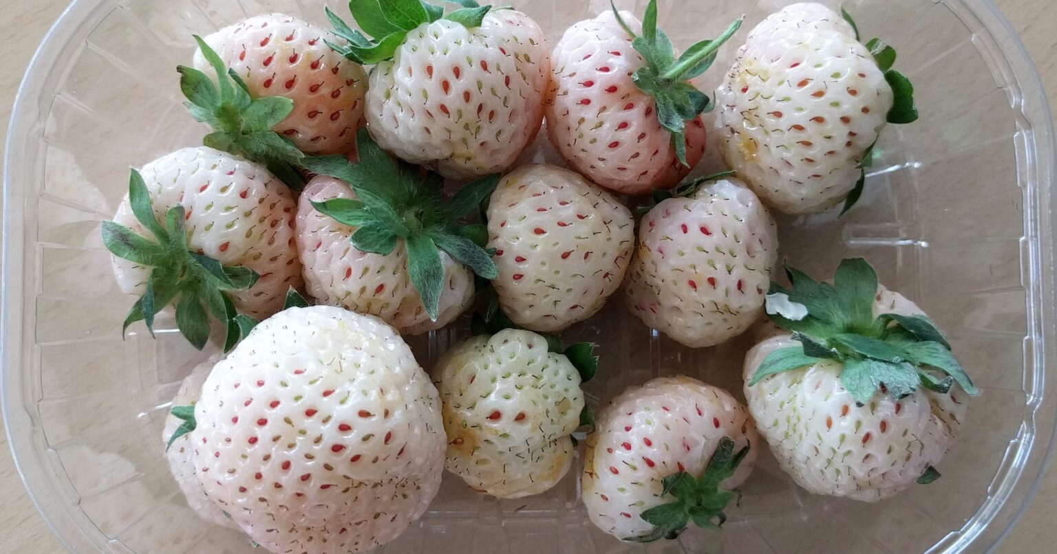 Descubre la fruta blanca similar al kiwi que te sorprenderá - Pantori